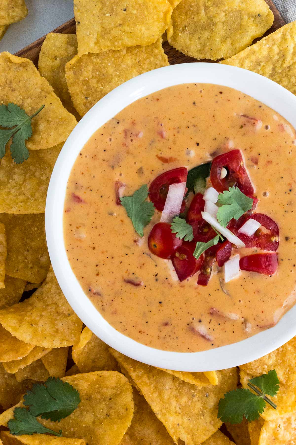 The Best Queso (Cheese) Dip | Gitta's Kitchen